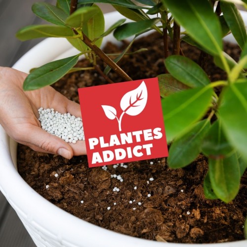 Tout savoir sur l’engrais naturel pour vos plantes